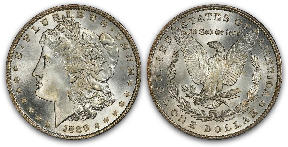 Ultimate Coin Condition & Grading Chart: Sheldon Scale Explained With ...