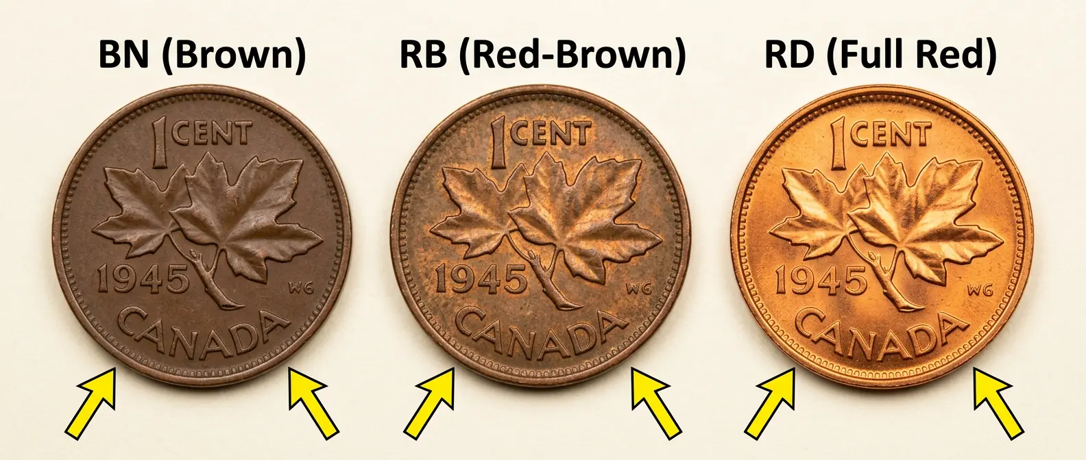 1945 Canadian Penny Value: What Is Your 1-Cent Coin Worth? (Price Guide ...