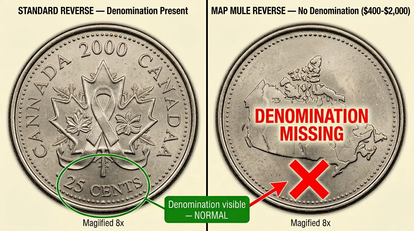 2000 Canadian Quarter Value: Millennium Series & Caribou Price Guide ...