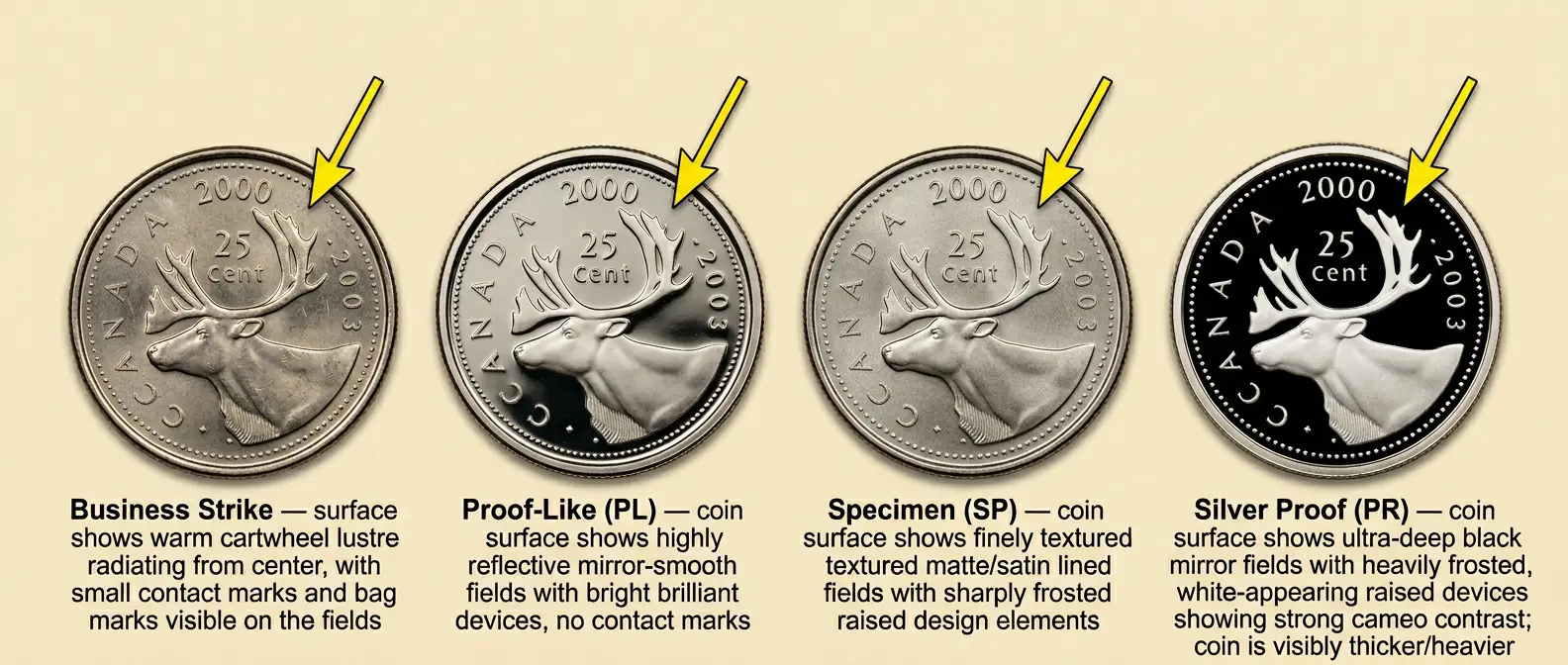 2000 Canadian Quarter Value: Millennium Series & Caribou Price Guide ...