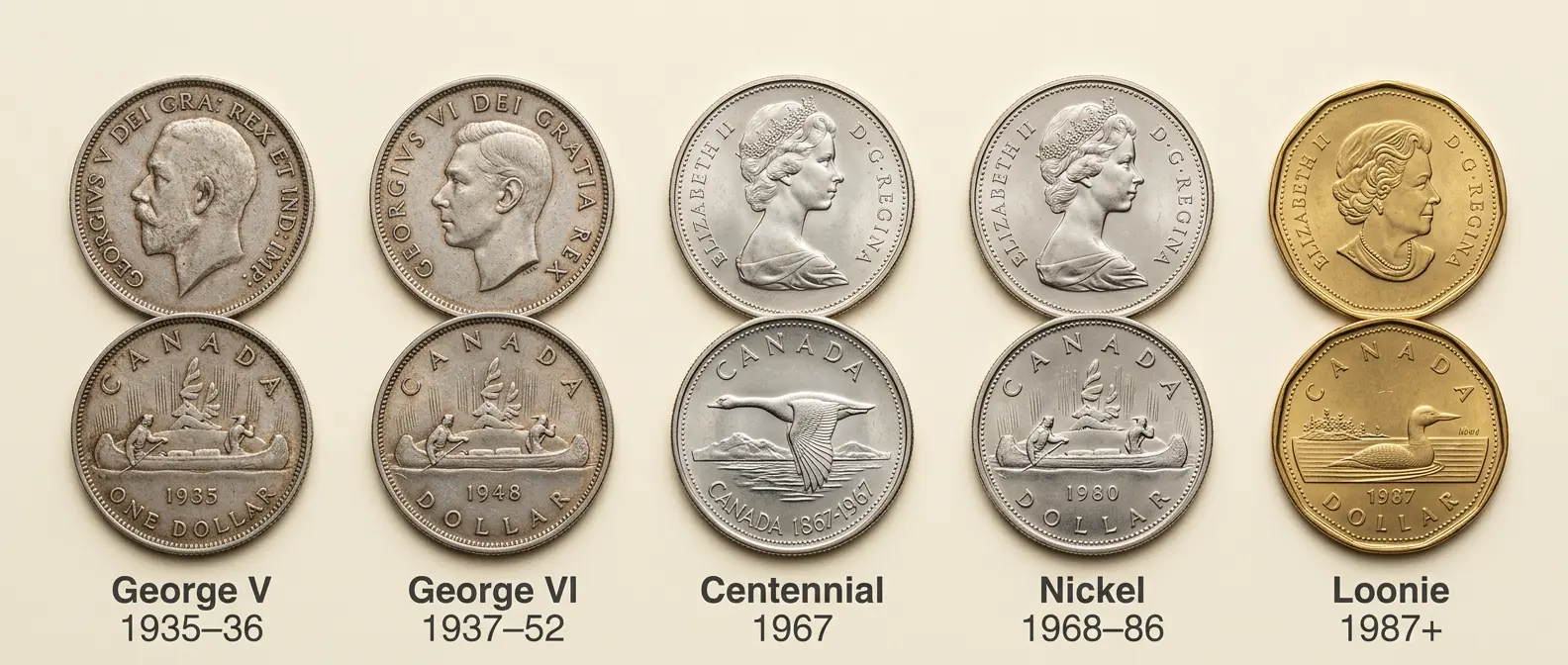 Canadian Dollar Coin Value: Silver Voyageur & Loonie Price Guide (1935 ...